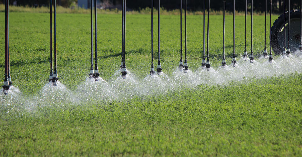 Saving Water & Increasing Alfalfa Yield with LEPA Close Spacing ...