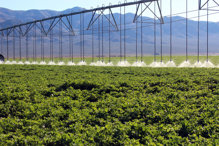 LEPA - Low Energy Precision Application | Pivot irrigation product