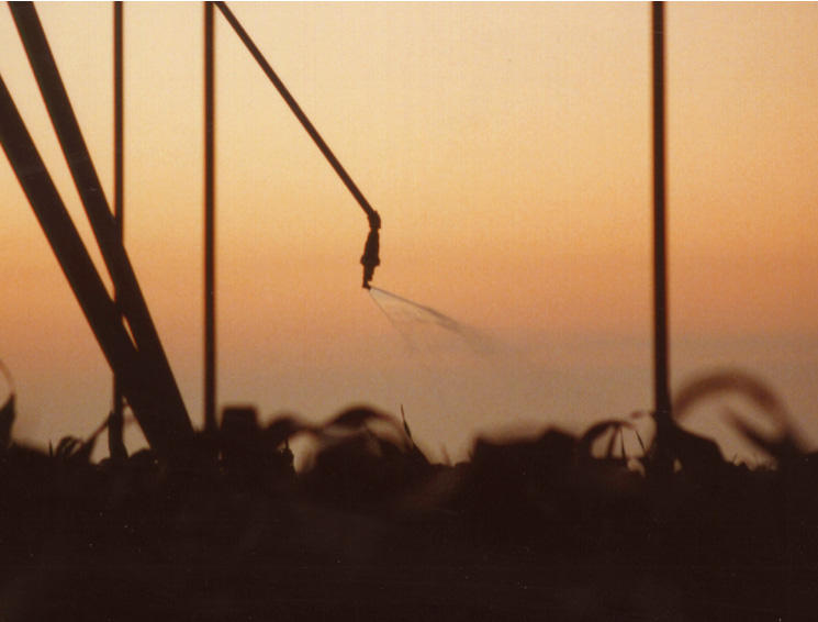 Fan Spray | irrigation product | Senninger