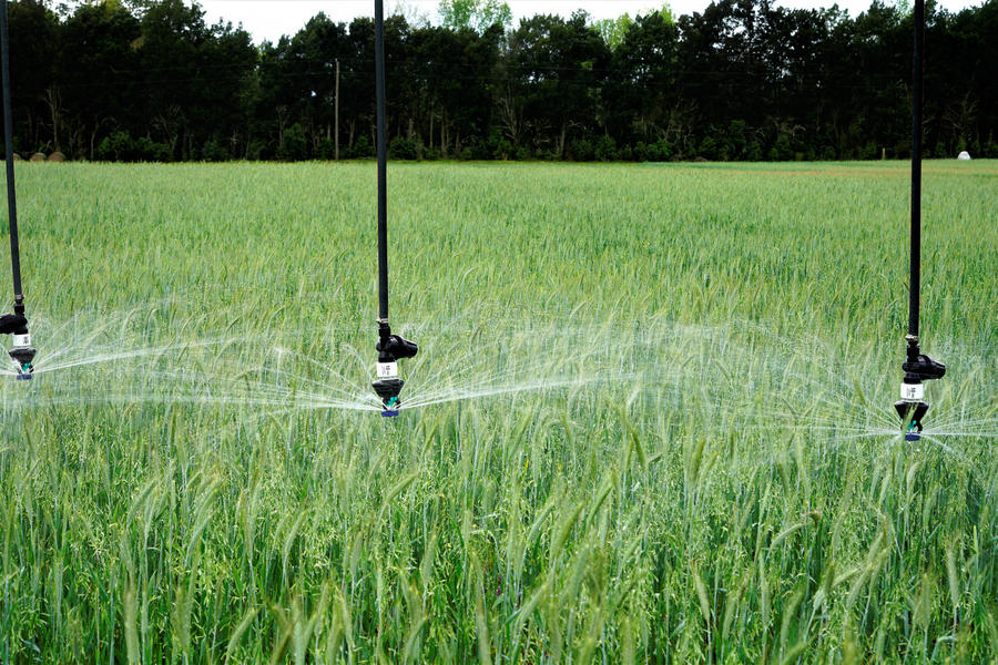 Filter Regulator | Hunter Agricultural Irrigation