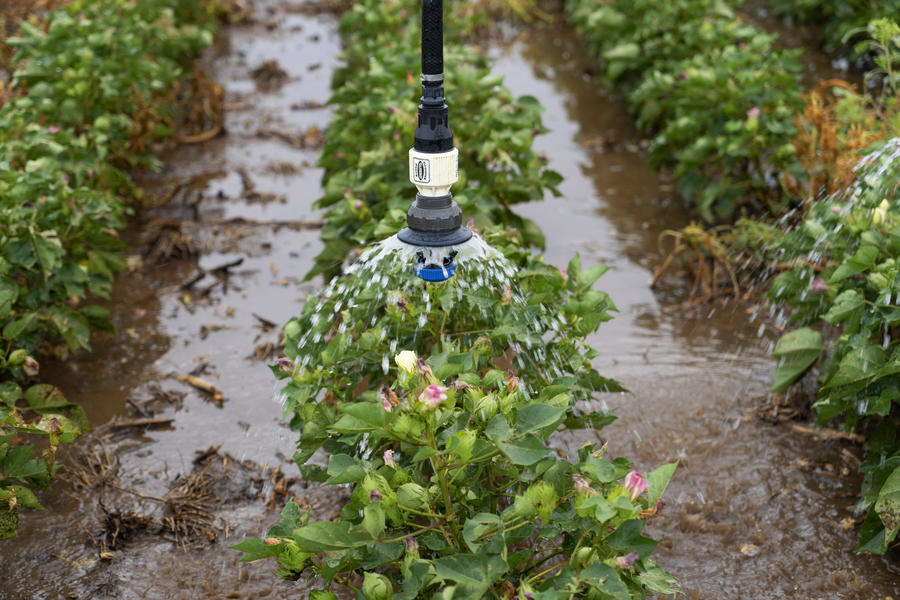 LEPA - Low Energy Precision Application | Pivot irrigation product
