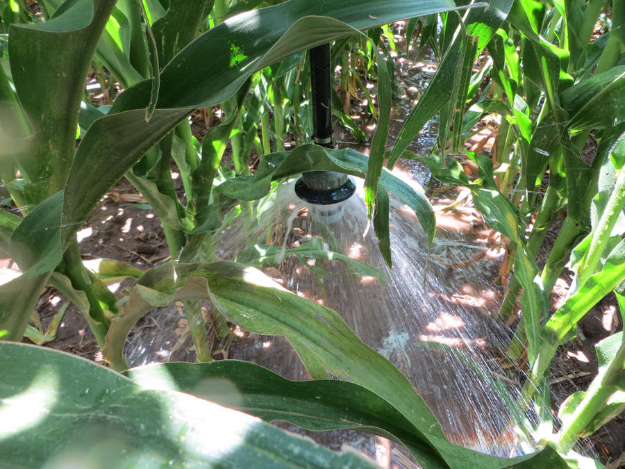 LEPA - Low Energy Precision Application | Pivot irrigation product