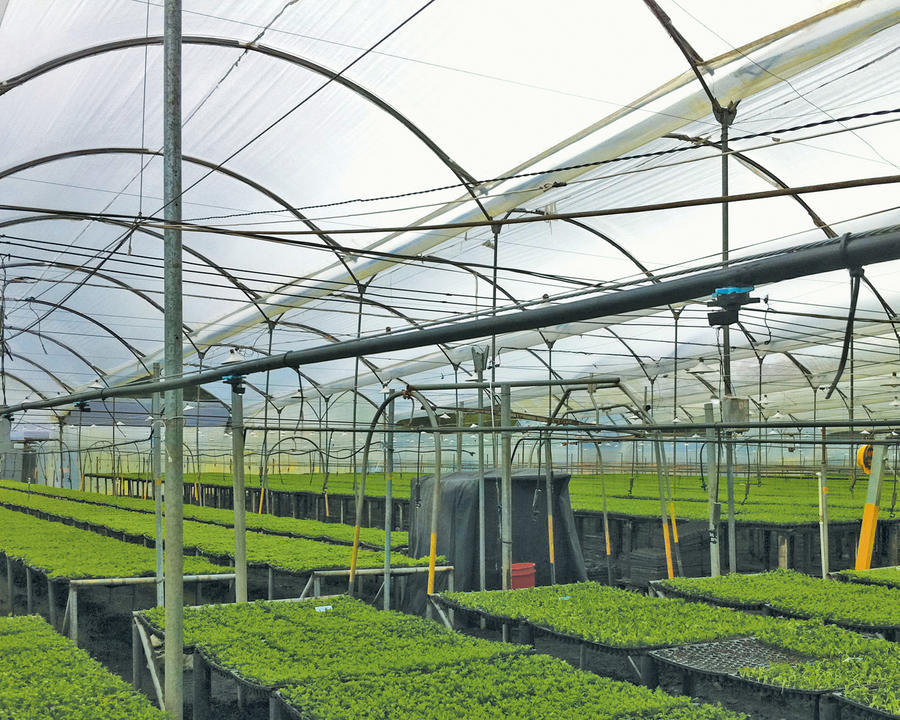 Micro-Sprinklers | Hunter Agricultural Irrigation