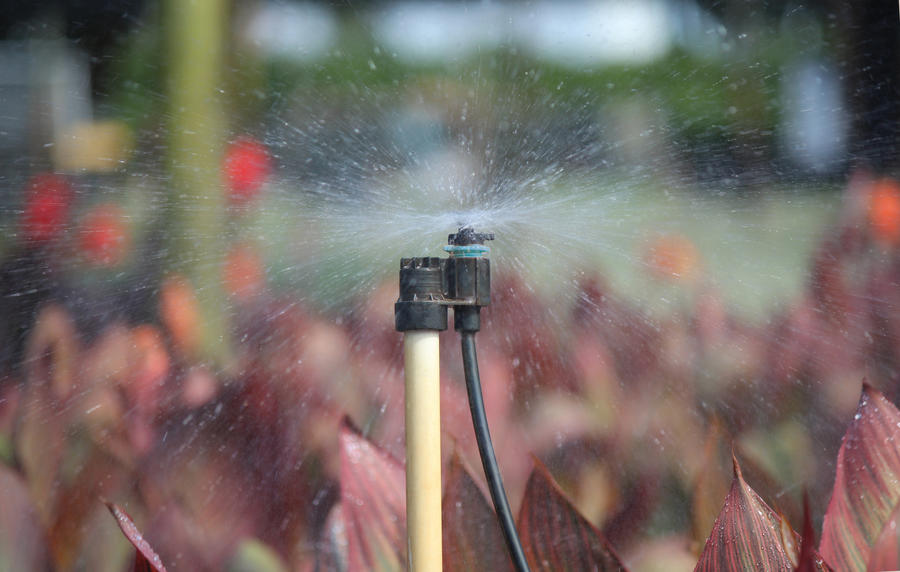 Micro-Sprinklers | Hunter Agricultural Irrigation