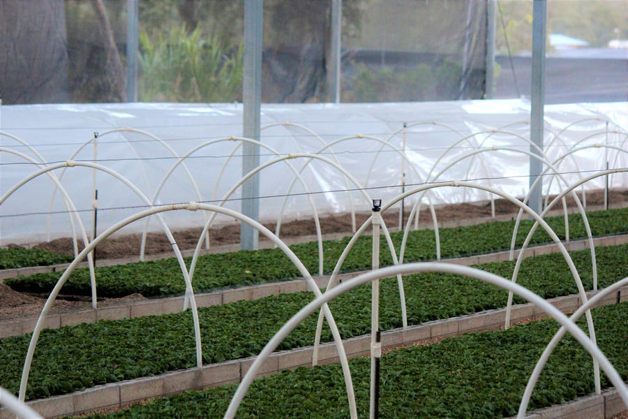 mini-Wobbler™ | Hunter Agricultural Irrigation