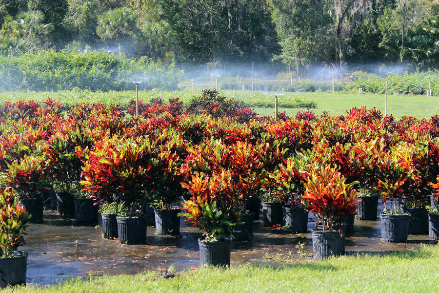 mini-Wobbler™ | Hunter Agricultural Irrigation