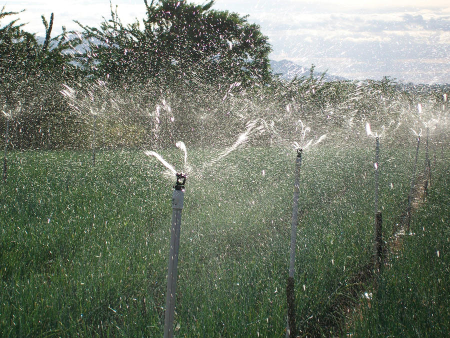 mini-Wobbler™ | Hunter Agricultural Irrigation