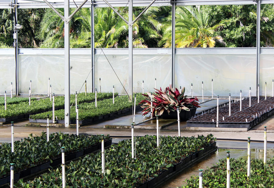 Mister™ | Nursery & greenhouse Misters and Foggers | Senninger