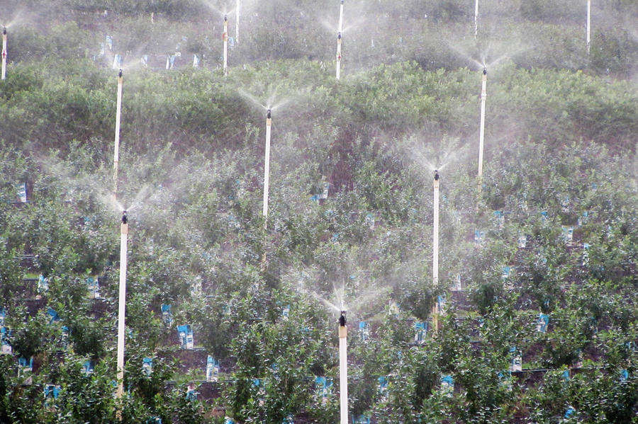 Xcel-Wobbler™ sprinkler | Solid Set irrigation | Senninger