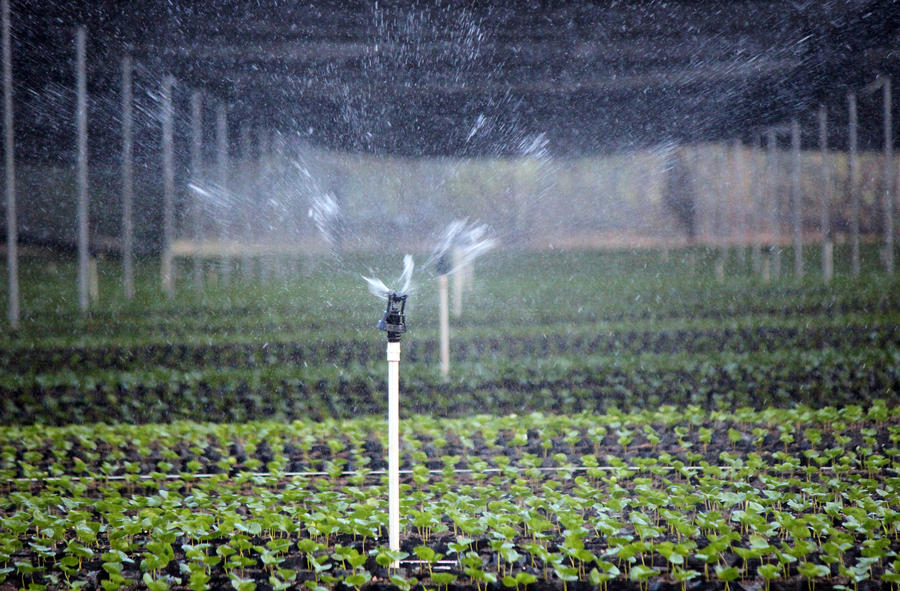 Xcel-Wobbler™ sprinkler | Solid Set irrigation | Senninger