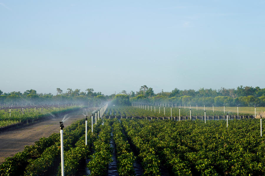 Xcel-Wobbler™ sprinkler | Solid Set irrigation | Senninger