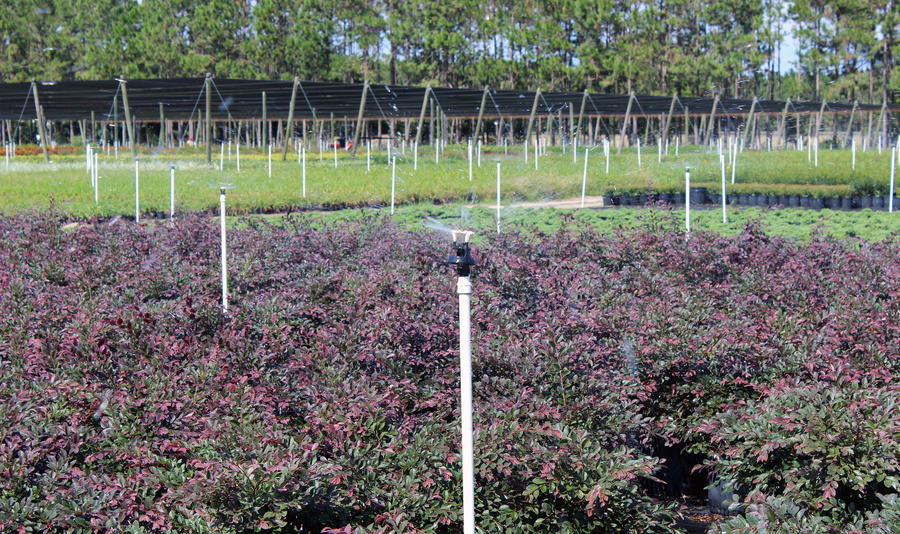 Xcel-Wobbler™ sprinkler | Solid Set irrigation | Senninger