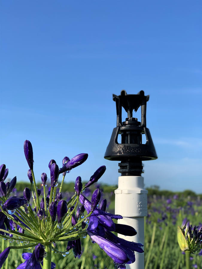 Xcel-Wobbler™ sprinkler | Solid Set irrigation | Senninger