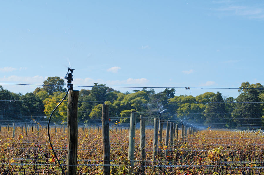 Xcel-Wobbler™ sprinkler | Solid Set irrigation | Senninger